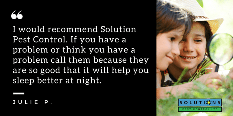 Monthly Pest Control in West Vancouver, BC